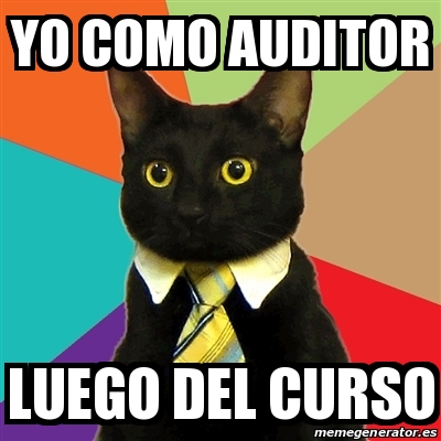 Meme Business Cat - yo como auditor luego del curso - 31651064