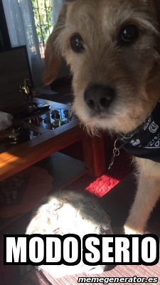 Meme Personalizado - Modo serio - 31651926