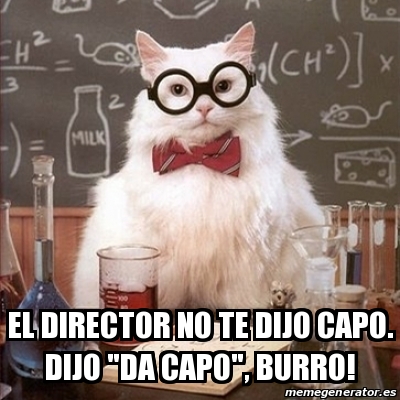 Meme Chemistry Cat - El director no te dijo capo. Dijo "da capo", burro ...