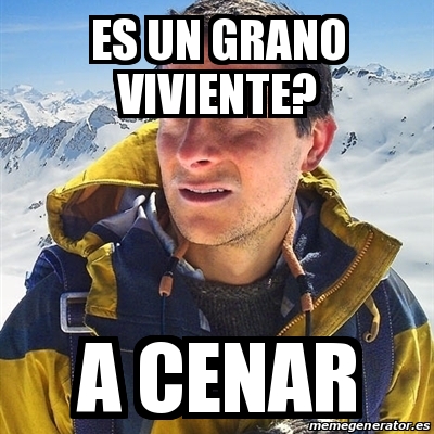 Meme Bear Grylls - es un grano viviente? a cenar - 31655549
