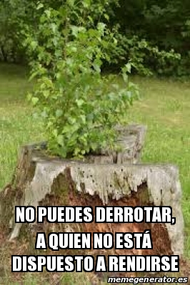 Meme Personalizado - No puedes derrotar, a quien no estÃ¡ dispuesto a ...