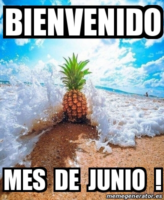 Meme Personalizado - Bienvenido Mes de junio ! - 31658185