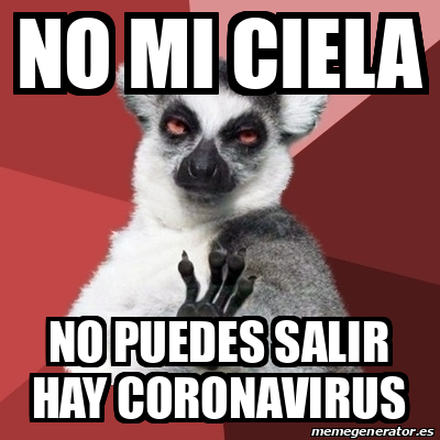 Meme Chill Out Lemur - No mi ciela No puedes salir hay coronavirus ...