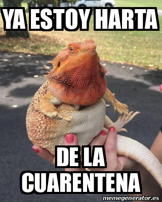 Meme Personalizado - Ya estoy harta de la cuarentena - 31662822