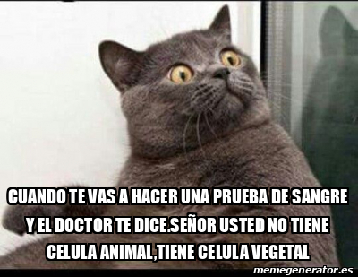 Meme Personalizado - CUANDO TE VAS A HACER UNA PRUEBA DE SANGRE Y EL ...