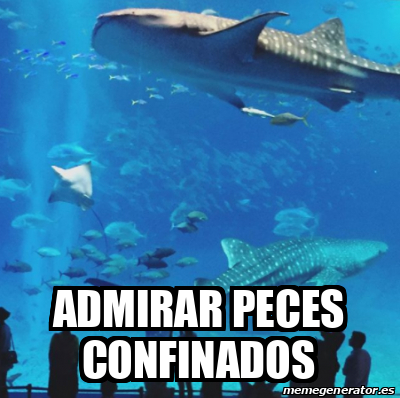Meme Personalizado - Admirar peces confinados - 31670090