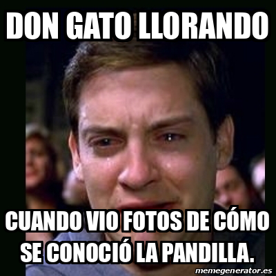 Meme crying peter parker - Don Gato llorando cuando vio fotos de cómo ...
