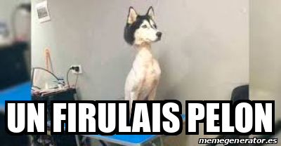 Meme Personalizado - Un firulais pelon - 31671015