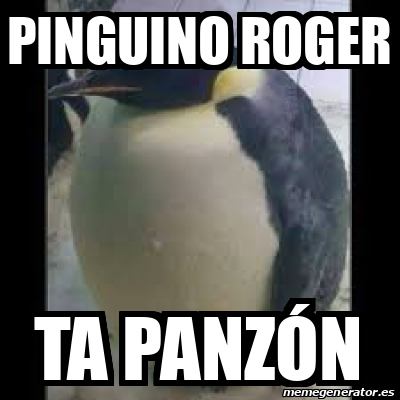 Meme Personalizado - PINGUINO ROGER TA PANZóN - 31672227