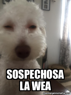 Meme Personalizado - Sospechosa la wea - 31672557