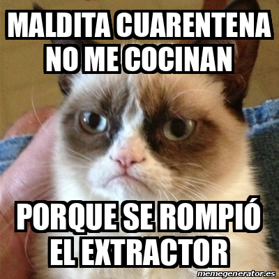 Meme Grumpy Cat - Maldita cuarentena no me cocinan Porque se rompió el ...