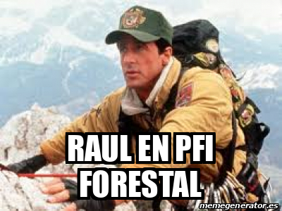 Meme Personalizado - Raul en PFI Forestal - 31673225
