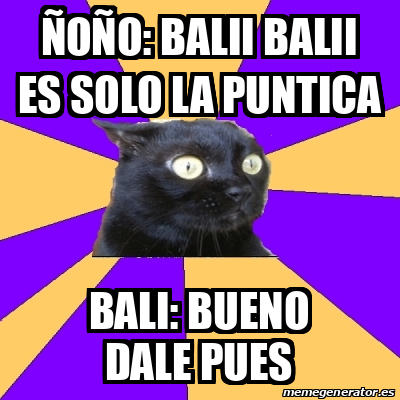 Meme Anxiety Cat - Ñoño: Balii balii es solo la puntica Bali: Bueno ...
