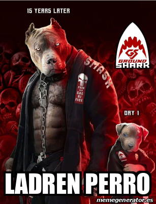 Meme Personalizado - Ladren perro - 31676778