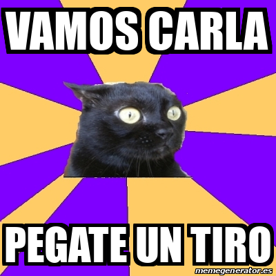 Meme Anxiety Cat - vamos carla pegate un tiro - 31676944