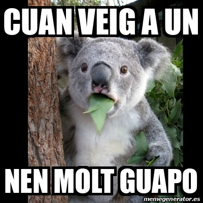 Meme Koala - Cuan veig a un Nen Molt guapo - 31679451