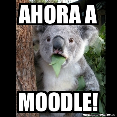 Meme Koala - ahora a moodle! - 31683014