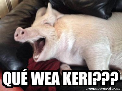 Meme Personalizado - Qué wea keri??? - 31687582