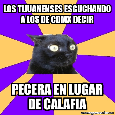 Meme Anxiety Cat - Los tijuanenses escuchando a los de CDMX DECIR ...