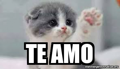 Meme Personalizado - te amo - 31689230