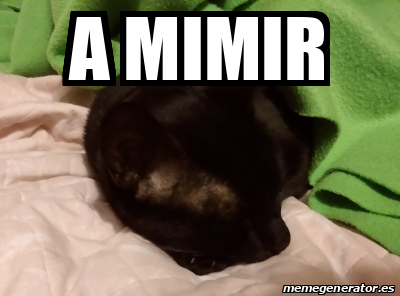 Meme Personalizado - A MIMIR - 31689806