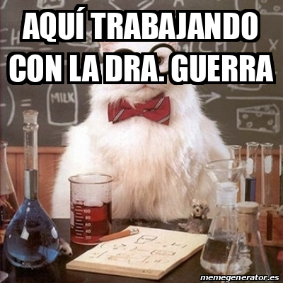Meme Chemistry Cat - Aquí trabajando con la Dra. Guerra - 31690436