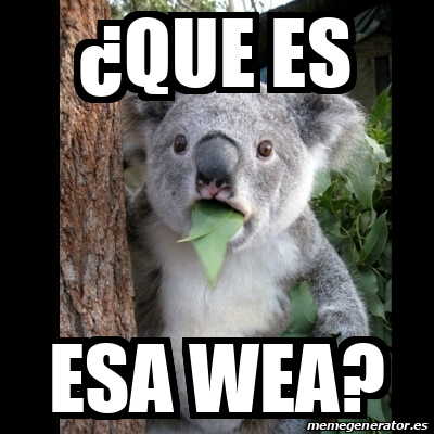 Meme Koala - ¿Que es esa wea? - 31691070