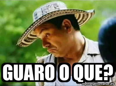 Meme Personalizado - Guaro o que? - 31691442