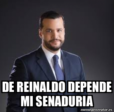 Meme Personalizado - DE REINALDO DEPENDE MI SENADURIA - 31696265