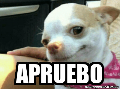 Meme Personalizado - apruebo - 31696817