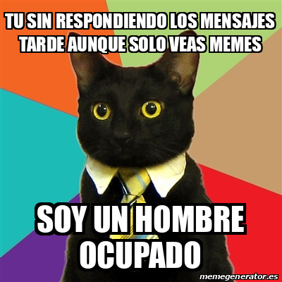 Meme Business Cat - tu sin respondiendo los mensajes tarde aunque solo ...