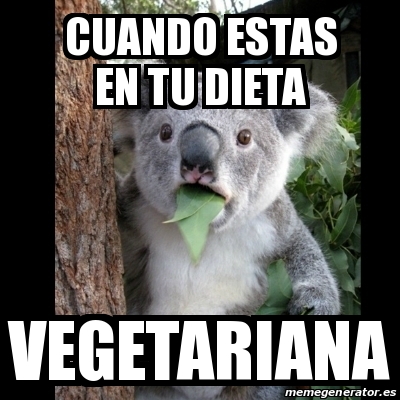 Meme Koala - cuando estas en tu dieta vegetariana - 31072928