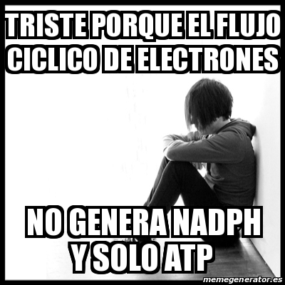 Meme First World Problems - Triste porque el flujo ciclico de ...