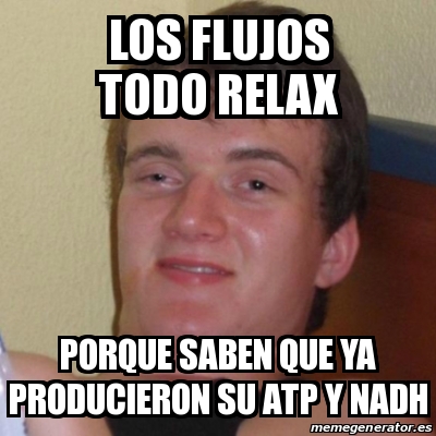 Meme Stoner Stanley - Los flujos todo relax porque saben que ya ...