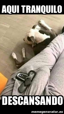 Meme Personalizado - aqui tranquilo descansando - 31075344