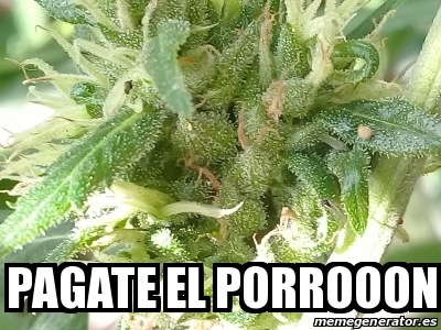 Meme Personalizado - Pagate el porrooon - 31076266