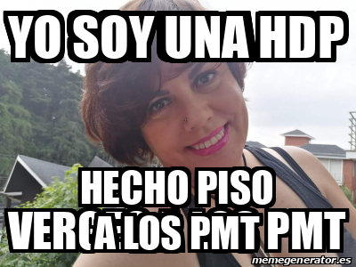 Meme Personalizado - YO SOY UNA HDP HECHO PISO A LOS PMT - 31706876