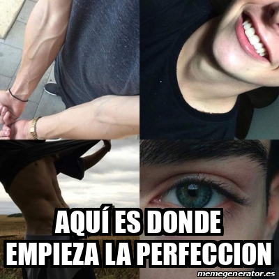 Meme Personalizado - AQUÍ ES DONDE EMPIEZA LA PERFECCION - 31711994