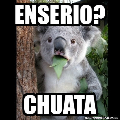 Meme Koala - Enserio? Chuata - 31712493