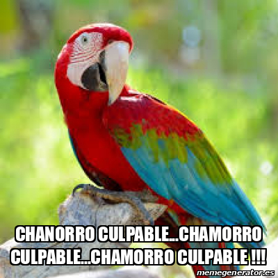 Meme Personalizado - CHANORRO CULPABLE...CHAMORRO CULPABLE...CHAMORRO ...