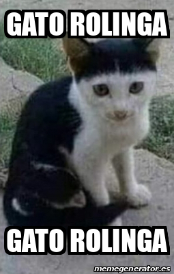 Meme Personalizado - Gato rolinga Gato rolinga - 31713555