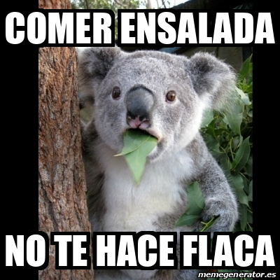 Meme Koala - COMER ENSALADA NO TE HACE FLACA - 31713745