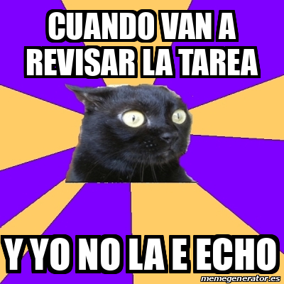 Meme Anxiety Cat - cuando van a revisar la tarea y yo no la e echo ...