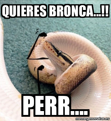 Meme Personalizado - Quieres bronca...!! Perr.... - 31714431