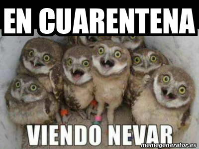Meme Personalizado - En cuarentena - 31716176