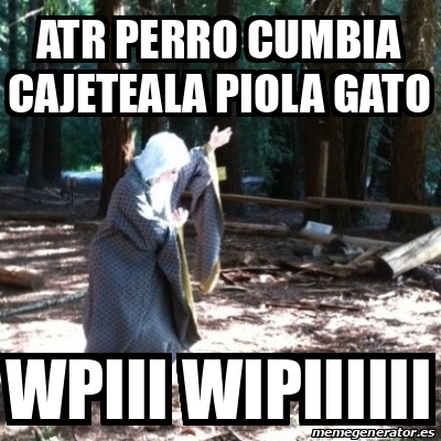 Meme Personalizado - ATR PERRO CUMBIA CAJETEALA PIOLA GATO WPIII ...
