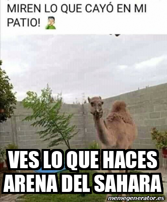 Meme Personalizado - ves lo que haces arena del sahara - 31720442
