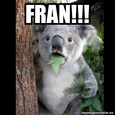 Meme Koala - Fran!!! - 31724374