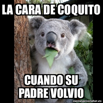 Meme Koala - la cara de coquito cuando su padre volvio - 31726401