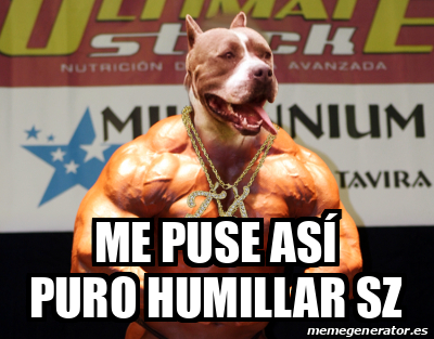 Humillar Memes